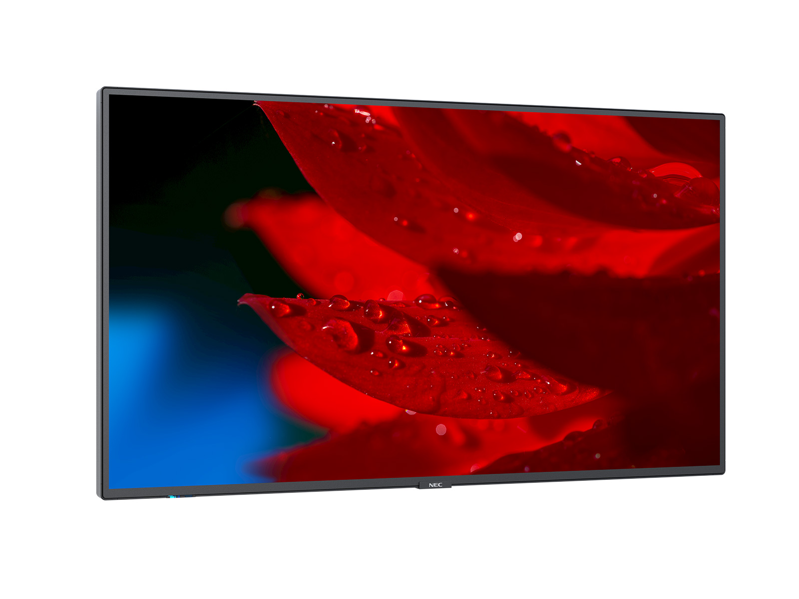 מסך מקצועי לשילוט דיגיטלי 65" 24/7 4K דגם NEC M651 - חדש !! - NEC NEC